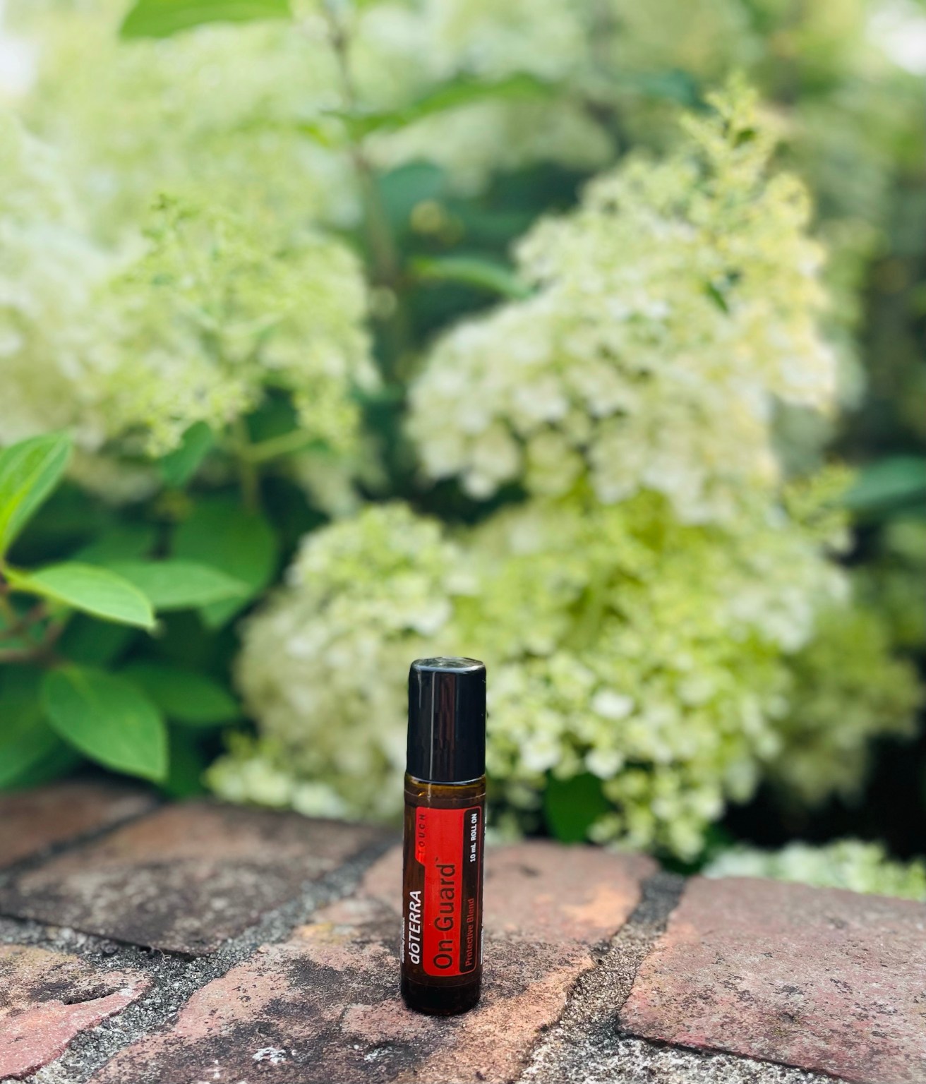 Essential Oils for Health and Wellness - Road to Health & Healing